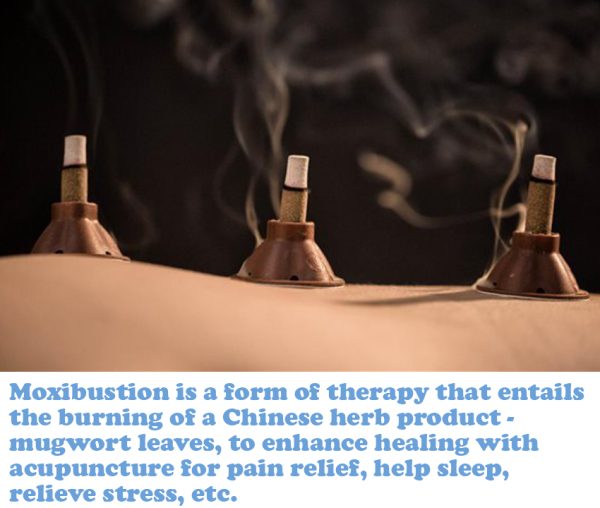 Moxibustion Therapy in Sydney | Live Well TCM Clinic